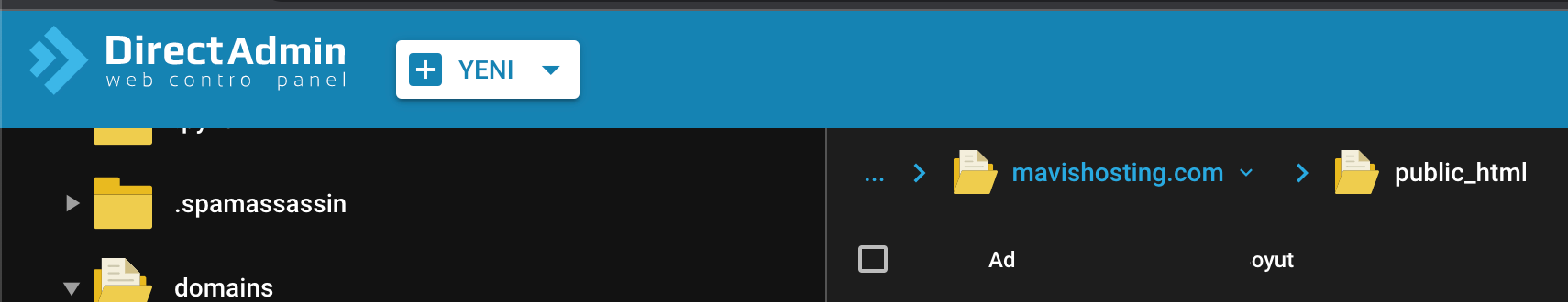 DirectAdmin WordPress Kurulumu - Furkan Sağlam